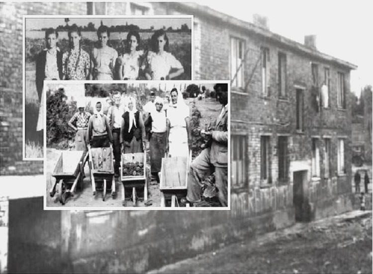 “The tract spoke against the decision of the court, where my brother ...